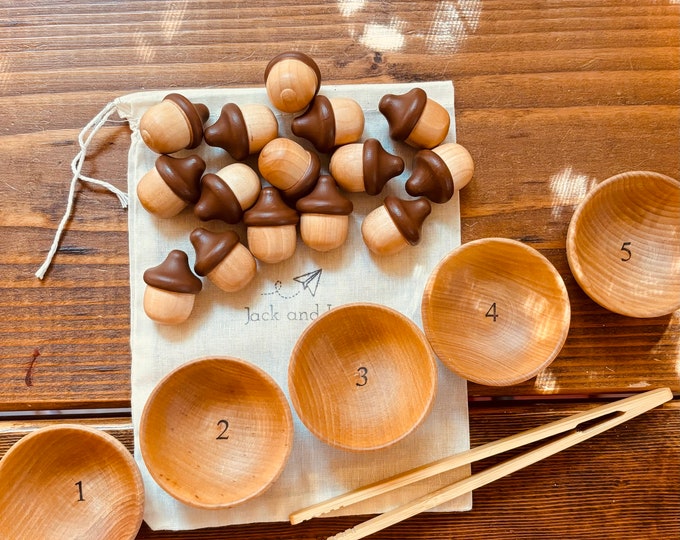 Acorn Sorting | Montessori Toys | Wooden Toys | Acorn Math Counters - Etsy