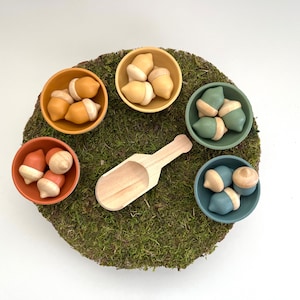 Acorn Sorting | Montessori Toys | Wooden Toys - Etsy