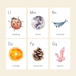 Nature Themed Alphabet Cards | Homeschool Nature Study | Printable ...