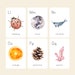 Nature Themed Alphabet Cards | Homeschool Nature Study | Printable ...