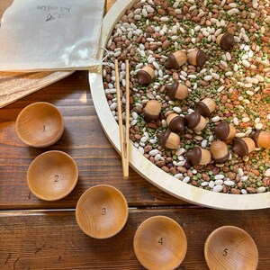 Acorn Sorting | Montessori Toys | Wooden Toys | Acorn Math Counters - Etsy