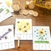 Bee Count and Clip Cards Numbers 1-10 Montessori Toys Nature Montessori ...