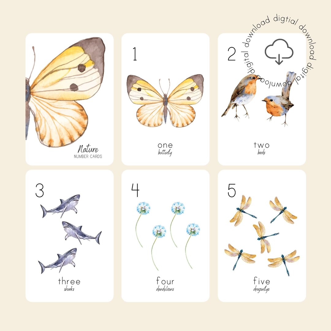 Nature Themed Number Cards | Counting Flashcards | Homeschool Nature ...