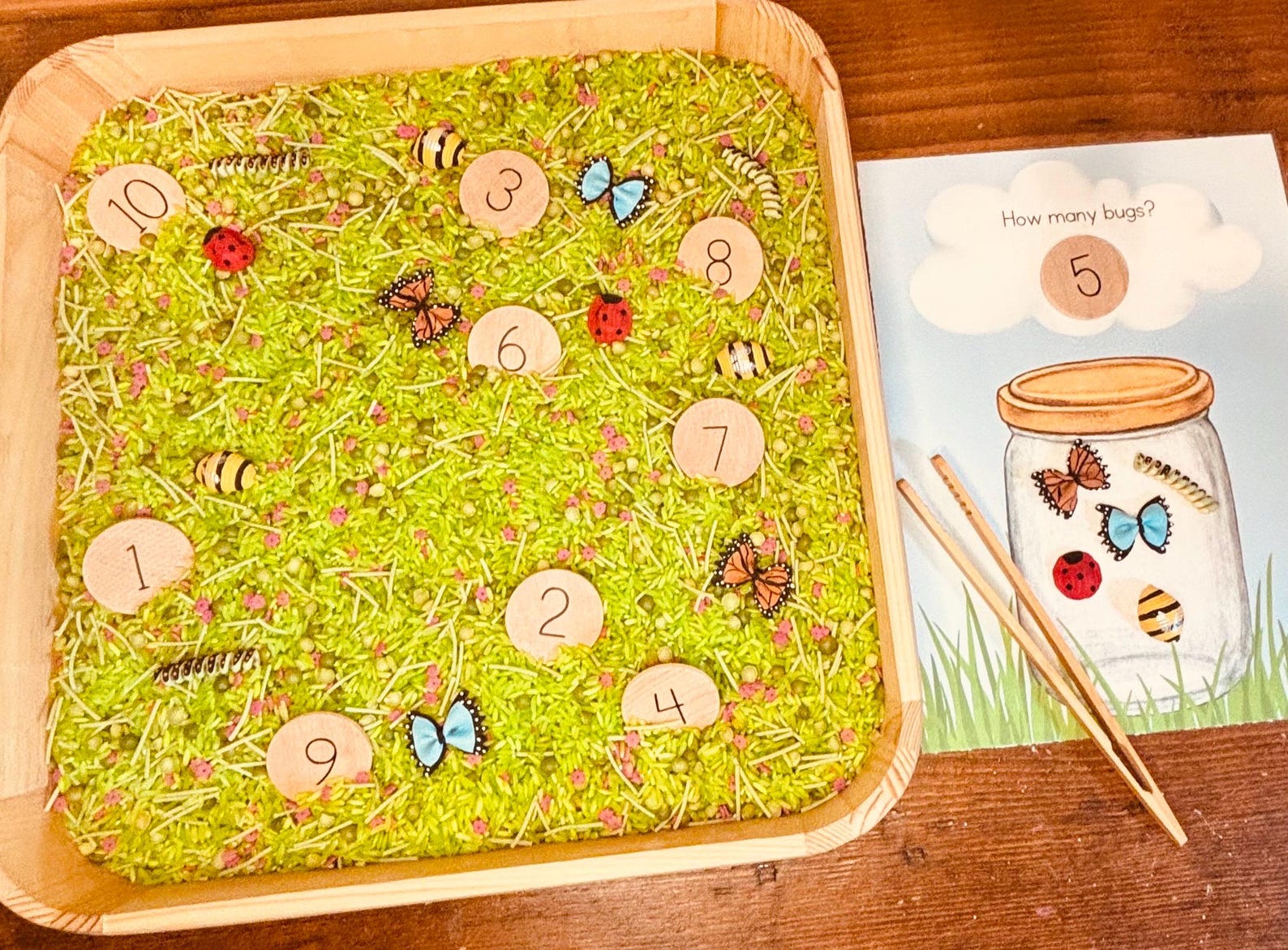 Bug Sensory Kit | Garden Sensory Bin Filler | Montessori Math | Nature ...