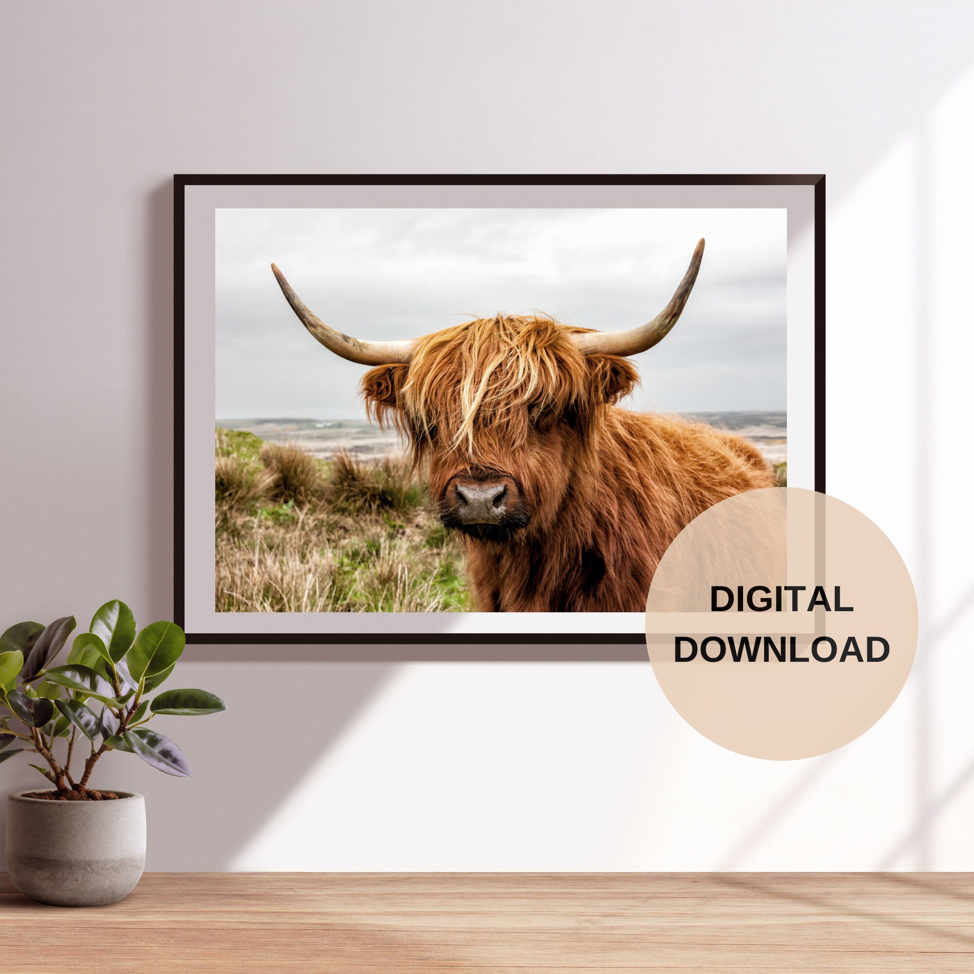 Printable Highland Cow Print | Highland Cow Printable Wall Art | Animal ...