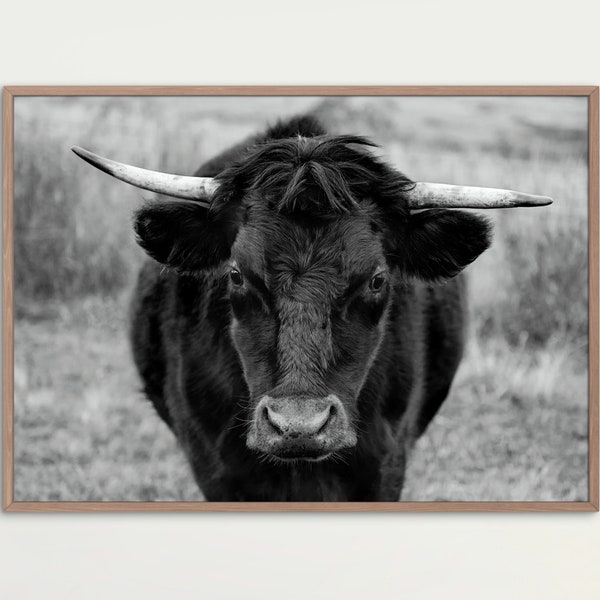 Black and White Bull Art - Etsy