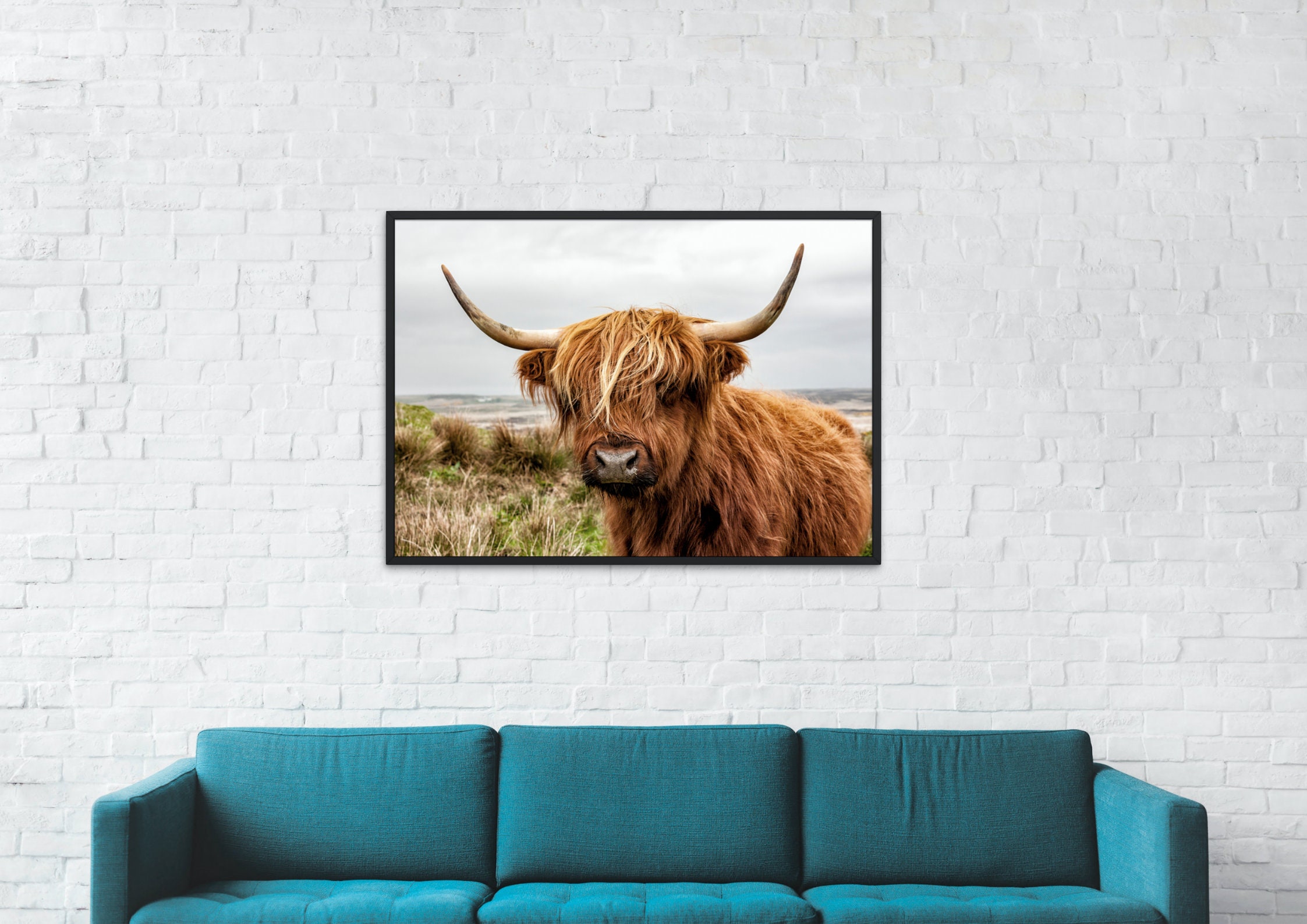Highland Cow Wall Art Highland Cow Photo Animal Poster Farm Animal Art ...