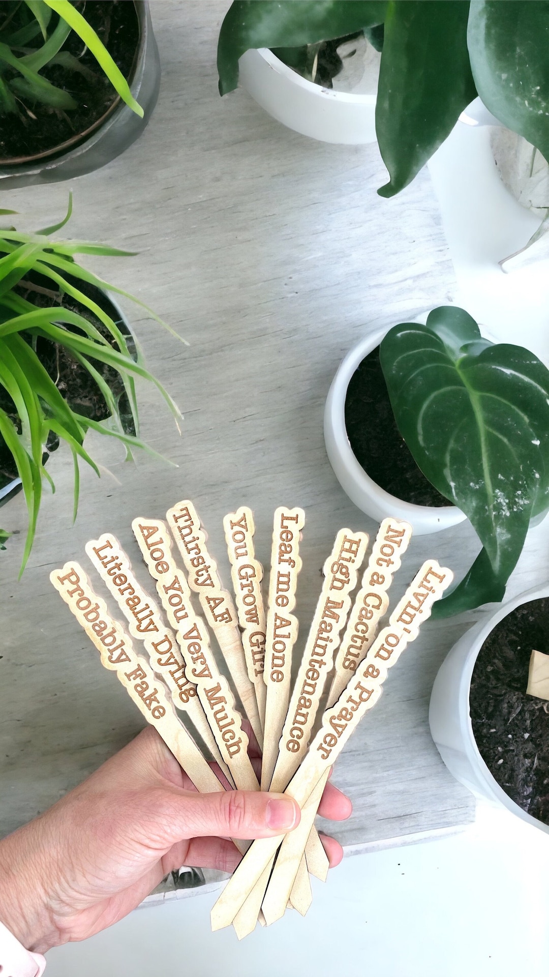 Plant Saying Sticks Gift for Plant Lover Gift Plant Markers Funny Plant ...