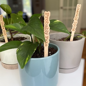 Plant Saying Sticks Gift for Plant Lover Gift Box Plant Markers Funny ...