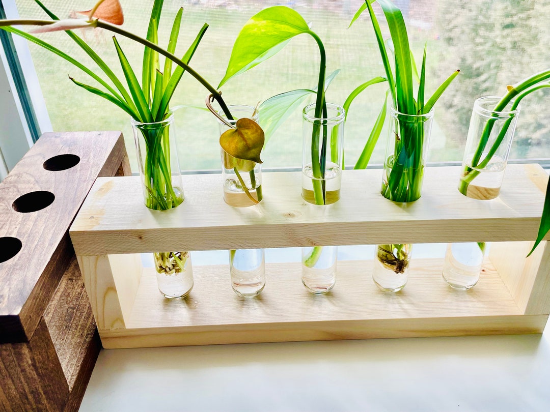 Minimalistic Wooden Plant Propagation Station Single Plant Stand Test ...