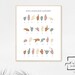 ASL, American Sign Language, Homeschool Printables, Educational ...