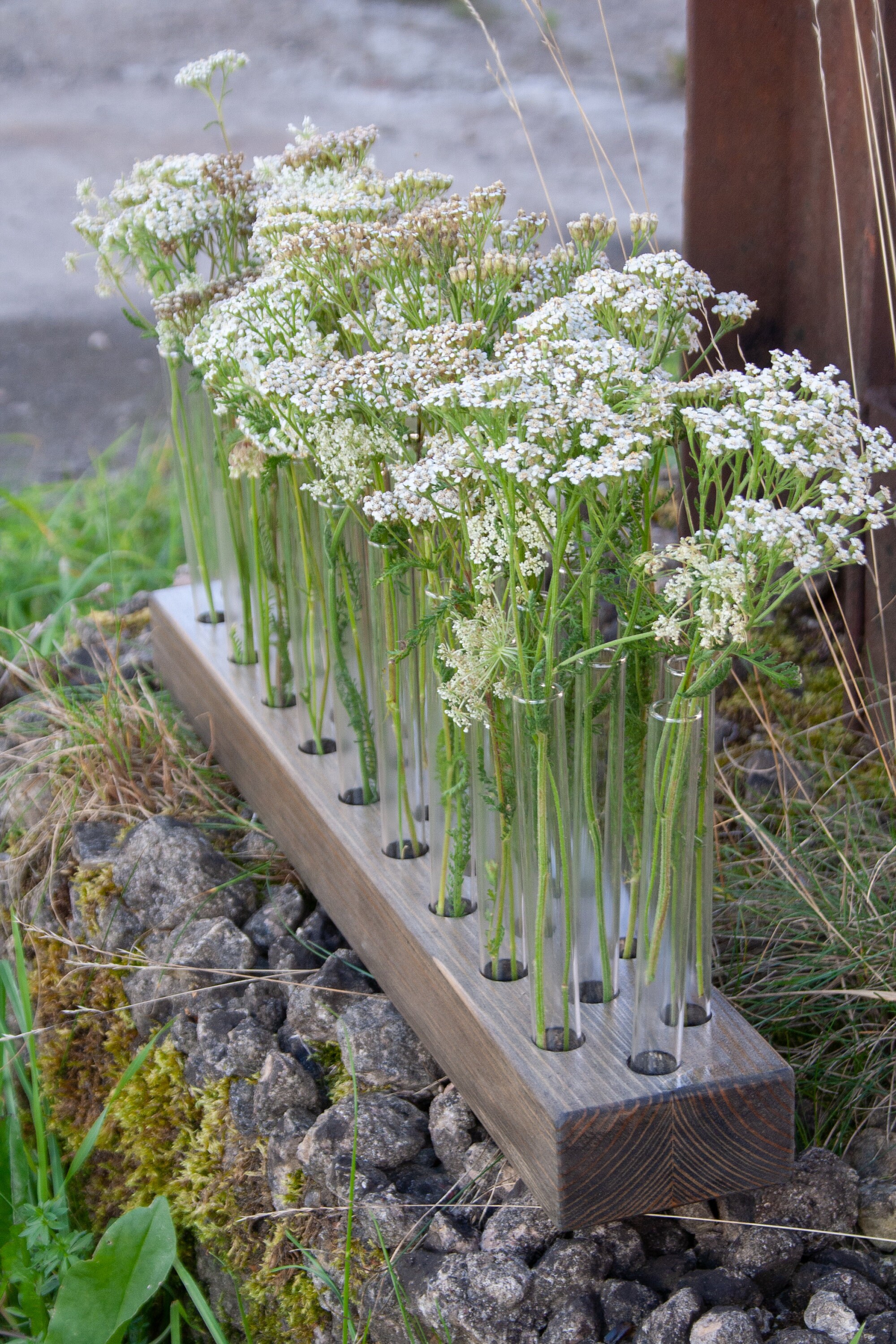Test Tube Vase Single Stem Glass Tube Stand With 28 Tubes - Etsy