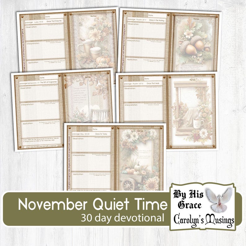 Abundant Grace: 30-day Devotional Journal Kit – Scripture, Prayer ...