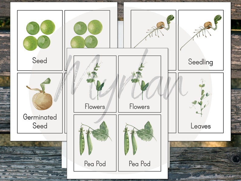 Printable Memory Game Printable Matching Game Homeschool - Etsy