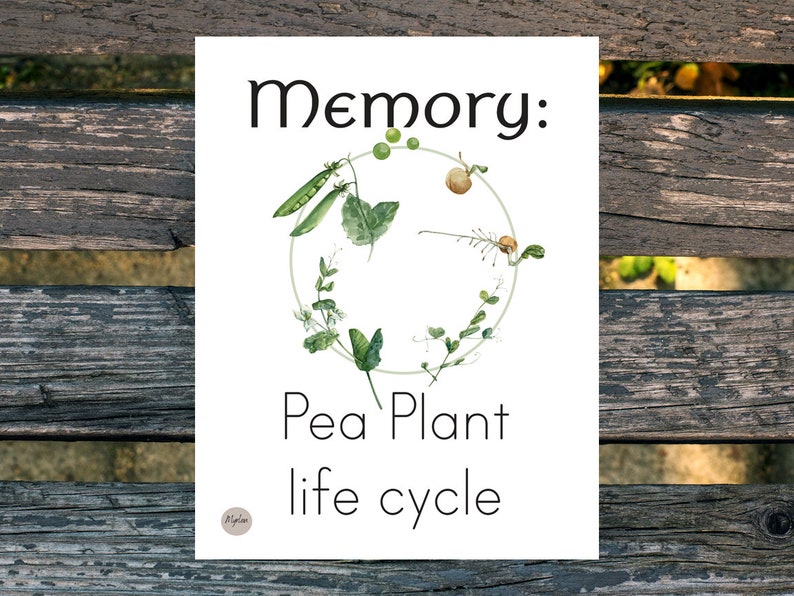 Printable Memory Game Printable Matching Game Homeschool - Etsy