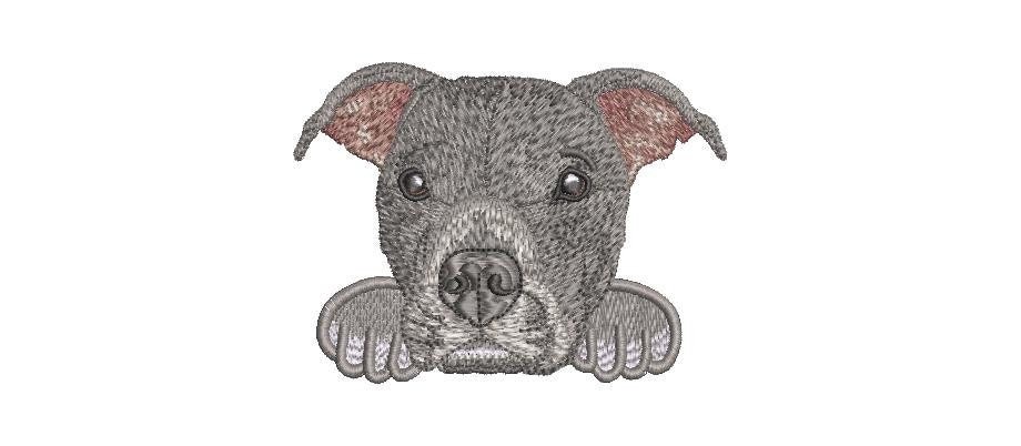 Pitbull Terrier Dog Embroidery Design __ Instant Download__ Realistic ...