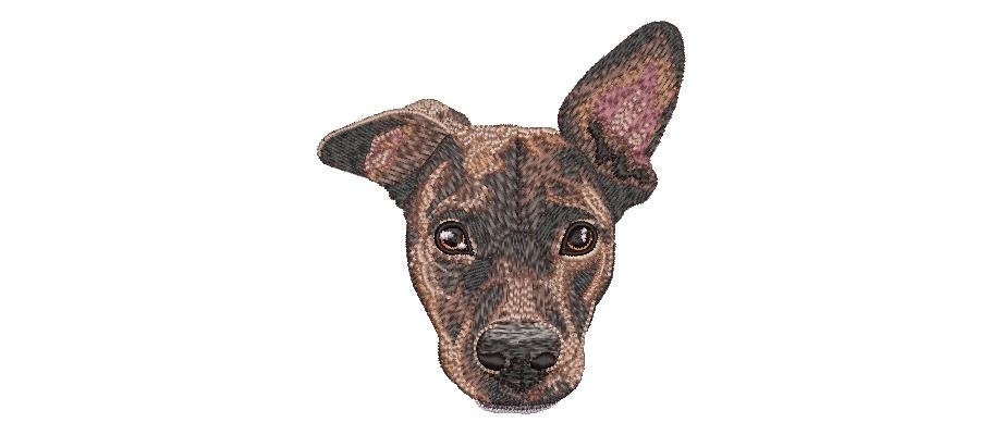Boxer Lab Dog Embroidery Design __ Instant Download__ Realistic Brindle ...