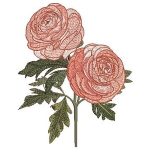 Ranunculus Embroidery Design __ Instant Download __ Pink Ranunculus ...