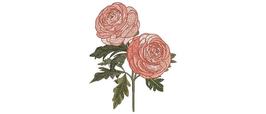Ranunculus Embroidery Design __ Instant Download __ Pink Ranunculus ...