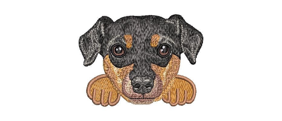 Mini Pinscher Embroidery Design __ Instant Download __ Cute Mini ...