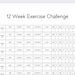 12 Week Exercise Challenge,workout Tracker,fitness Log,workbook Log ...