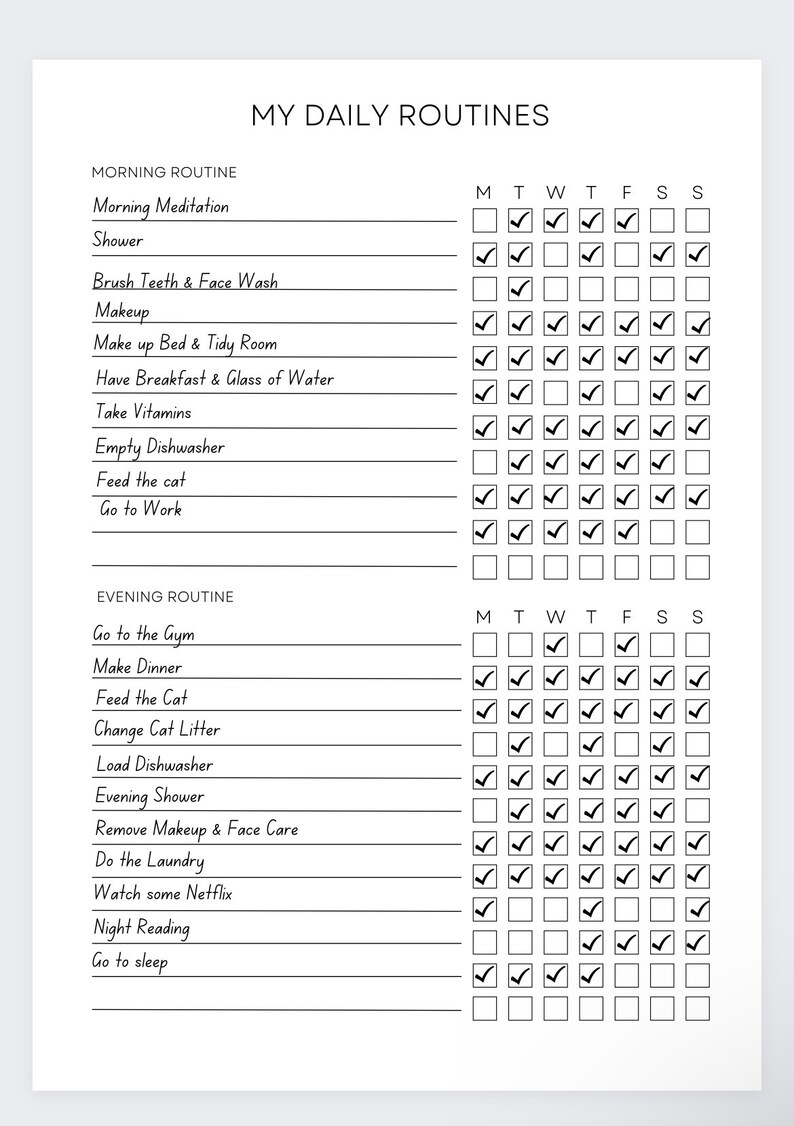 My Daily Routinedaily Plannerhappy Plannerdaily - Etsy