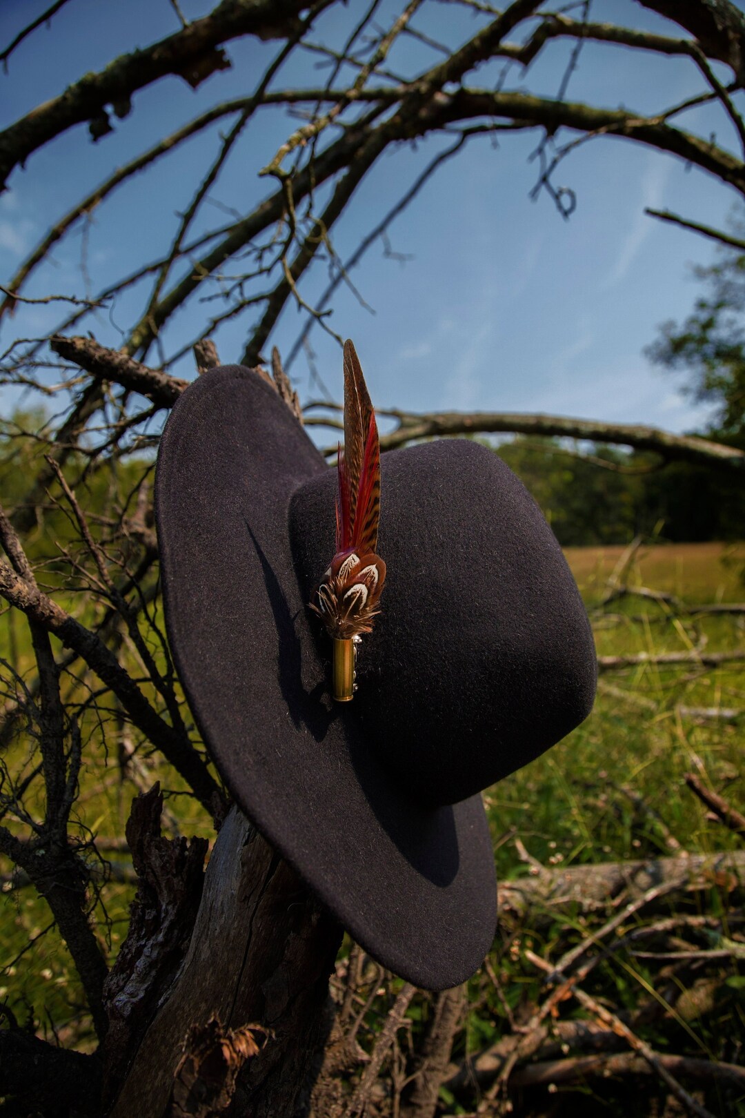 Feather Pin, Lapel Pin, Hat Pin, Feather Brooch, Pheasant Tail, Feather ...