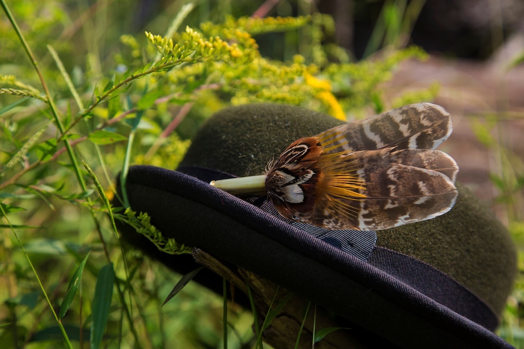 Pheasant Feather Pin, Feather Lapel Pin, Hat Pin, Feather Brooch ...