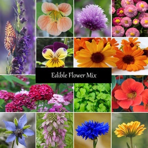 Edible Flower Seed Mix, 12 Species, Variety of Sizes, Flowers and Herbs ...