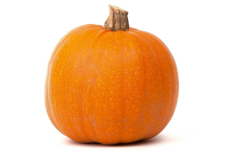 Small Sugar Pie Pumpkin, Carving Pumpkin, Decoration, Easy to Grow, 10 ...