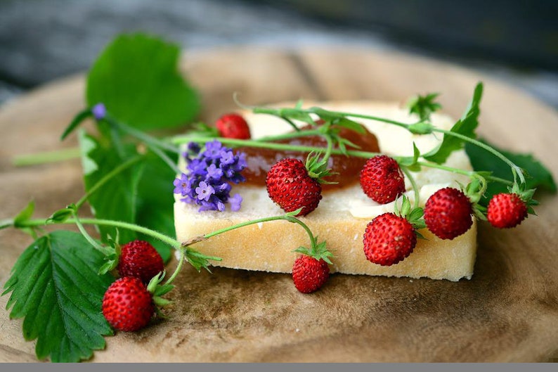 Mignonette Alpine Strawberry, Heirloom, Fragrant, Sweet, Full of Flavor ...