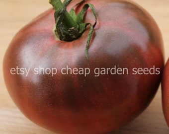 Cherokee Purple Tomato Heirloom 10 Seeds - Etsy