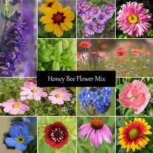 Honey Bee Wildflower Mix, Cosmos, Poppy, Aster, Nectar and Pollen to ...