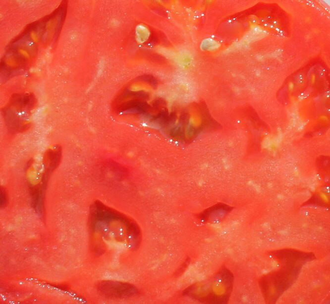 Grandpa Charlie Heirloom Organic Tomato - Large Beefsteak, Good Flavor ...