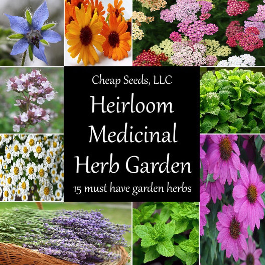 Medicinal Herb Garden Seeds 15 Popular Heirloom Seed Varieties, Non GMO ...