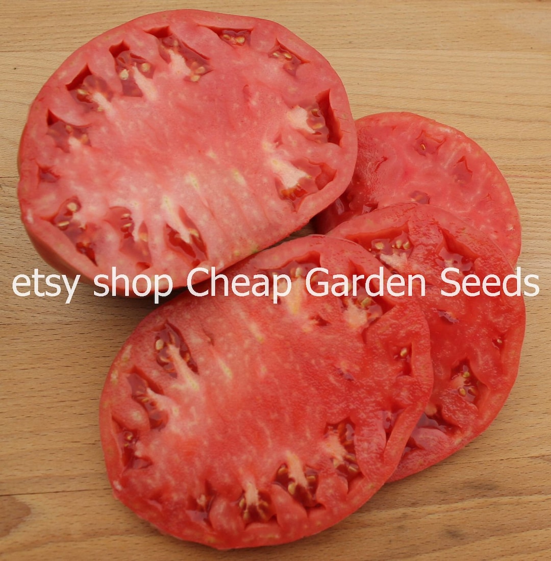 Blue Ridge Mountain Pink Tomato, Naturally Grown, Large Beefsteak, 10 ...