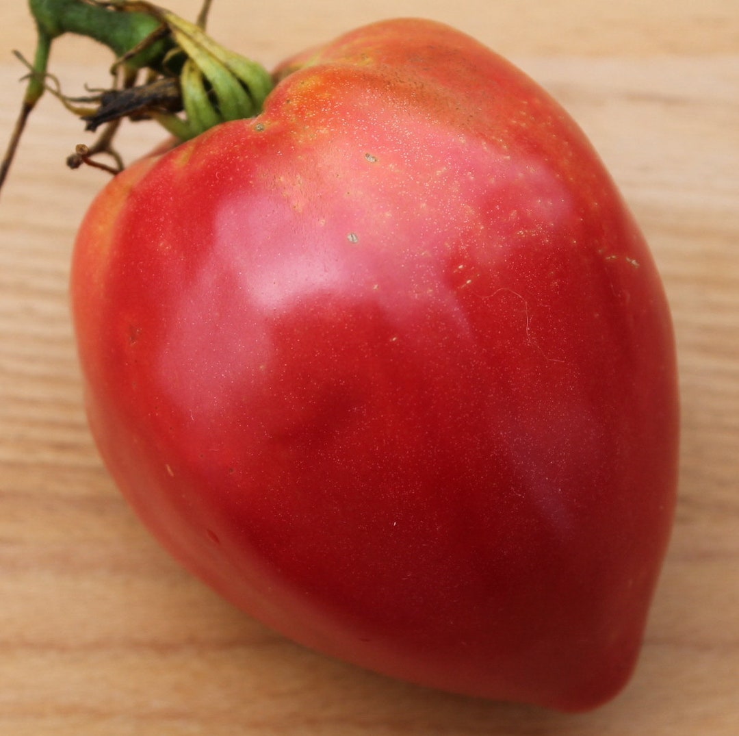 German Red Strawberry Heirloom Tomato Seeds - Organic, Paste Tomato, 10 ...
