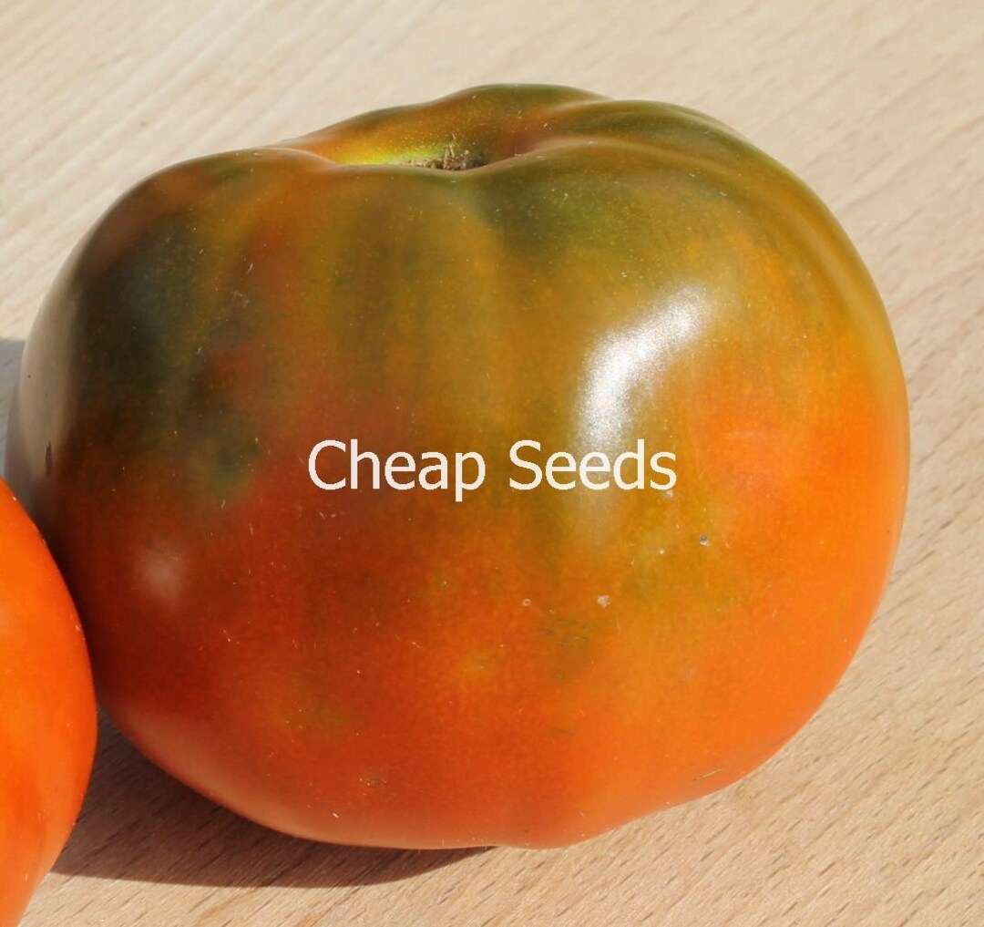 Thorburn's Terra Cotta Organic Heirloom Tomato - Large Beefsteak, Bi ...