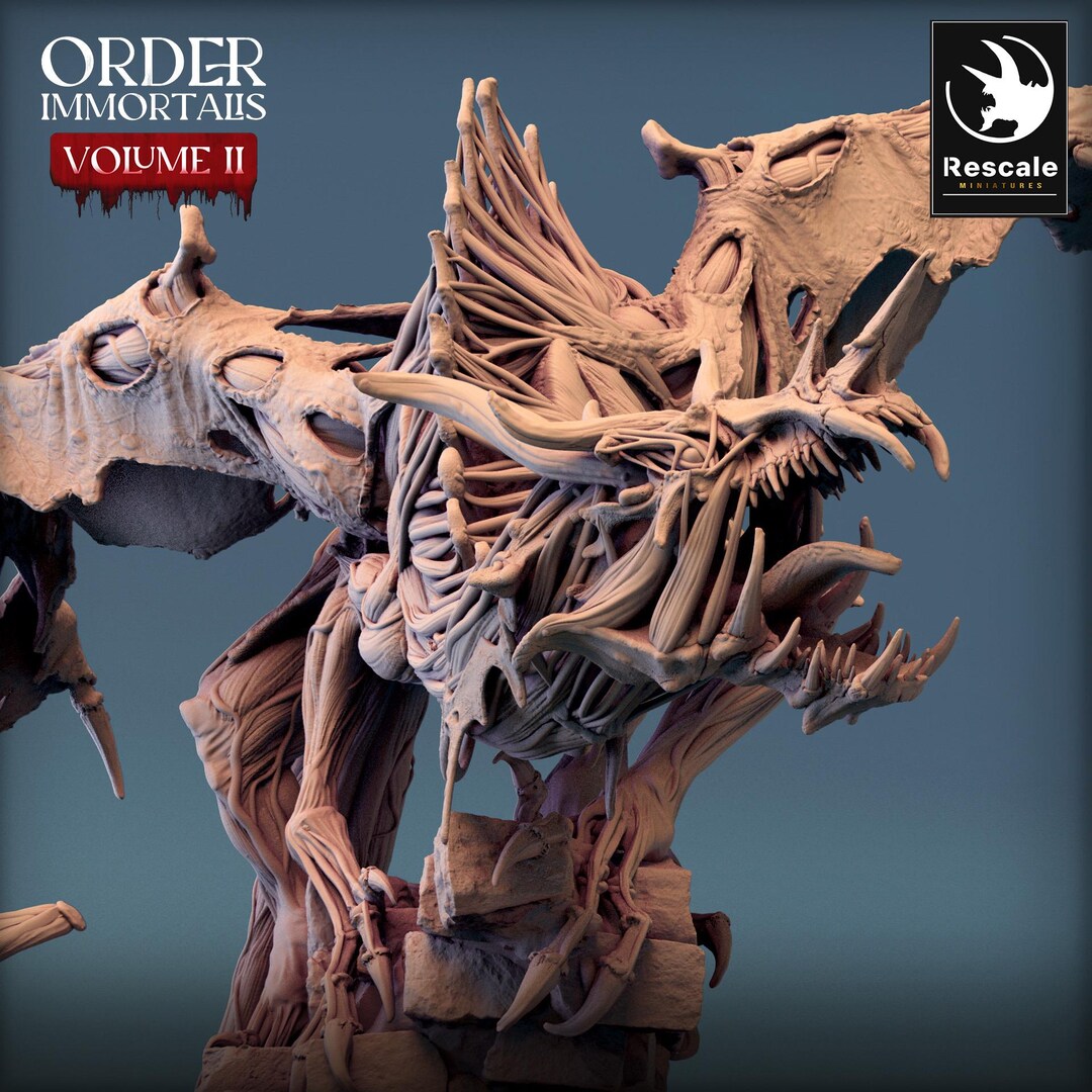 Immortalis Drake Guard-rescale Miniatures-order Immortalis Vol 2 - Etsy