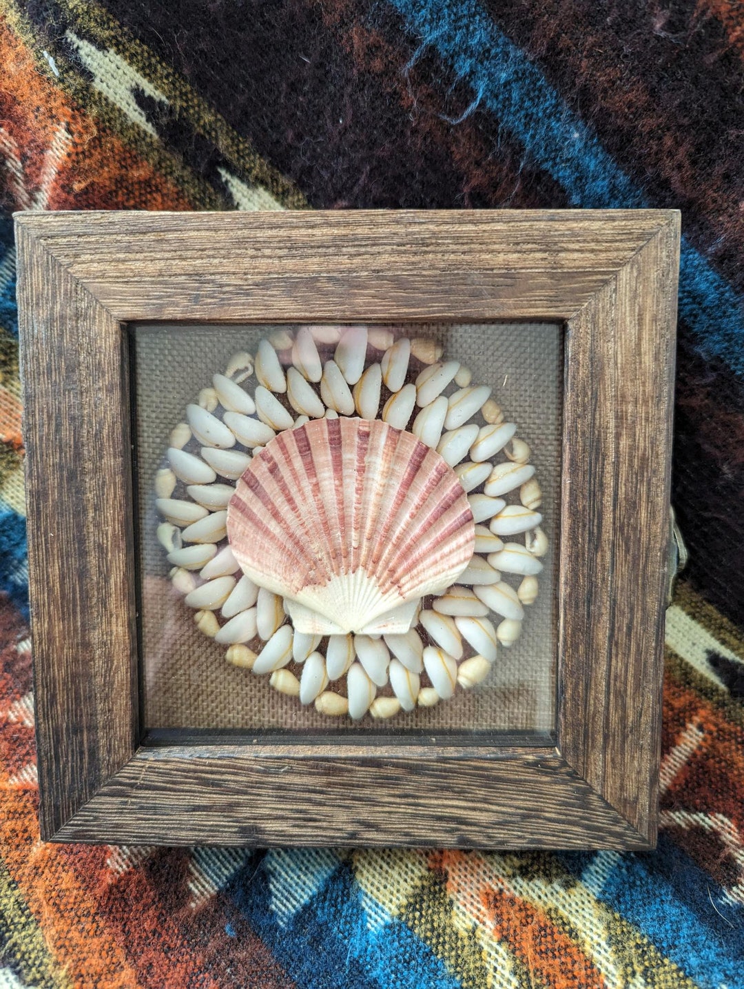 Sea Shell Shadow Box 1 - Etsy