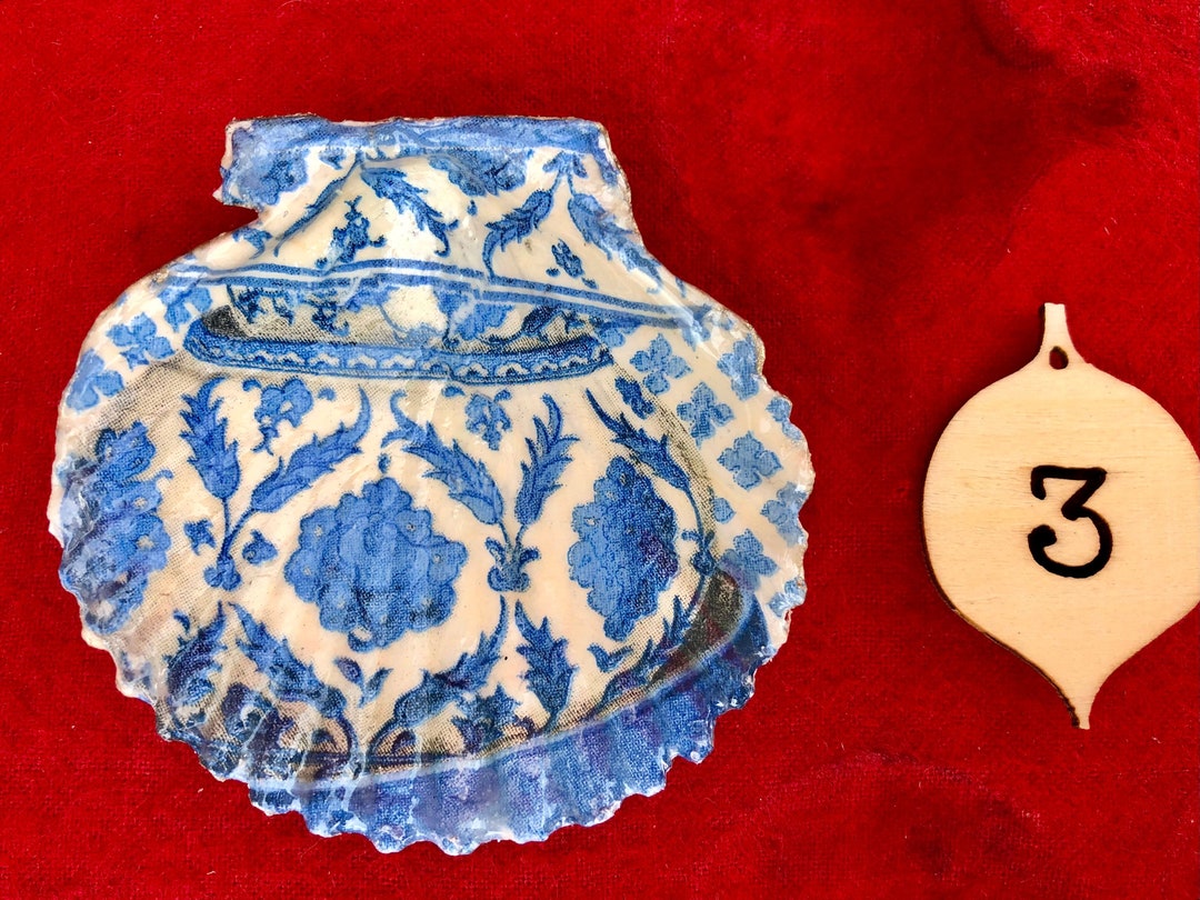 Natural Sea SHELLS. MOLLUSK Decorated With Original and Enameled ...