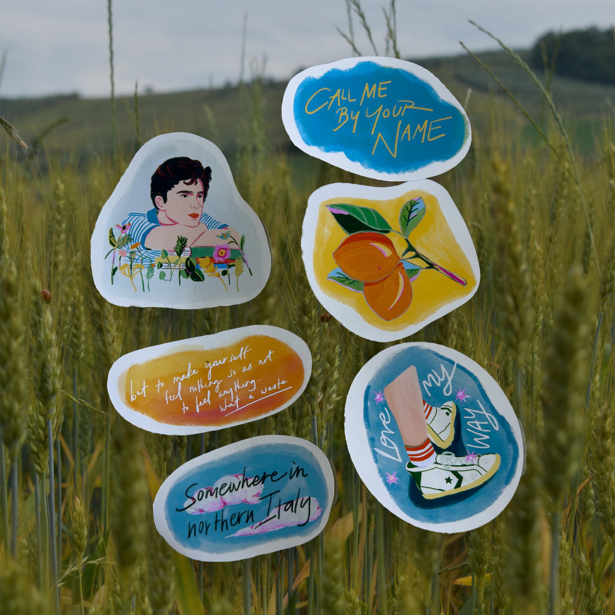 Call Me by Your Name CMBYN Sticker Pack, With 6 Stickers for Laptop ...