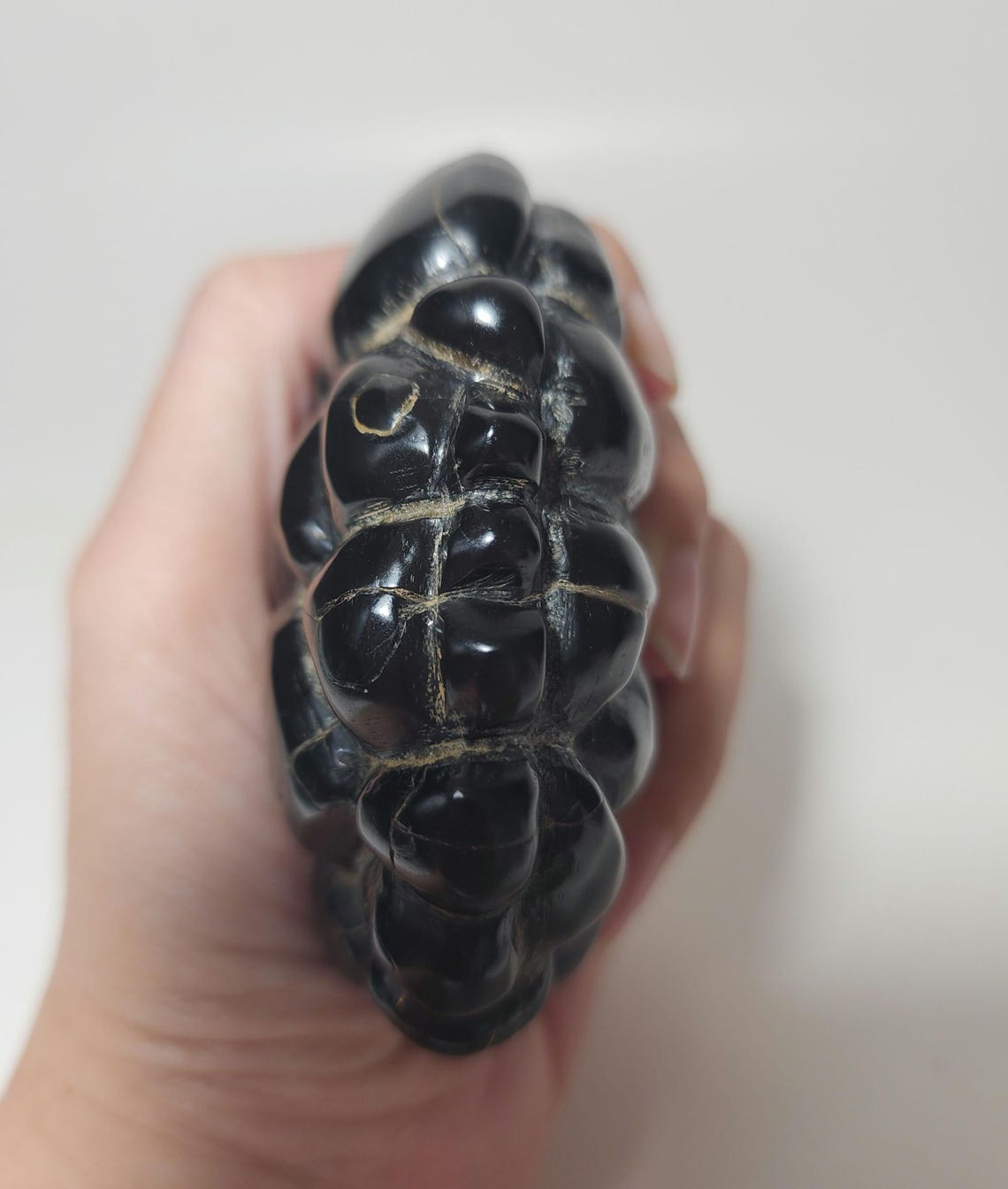 EXTREMELY RARE FIND - Hubei Turtle Stone (tortoise Back Pattern ...