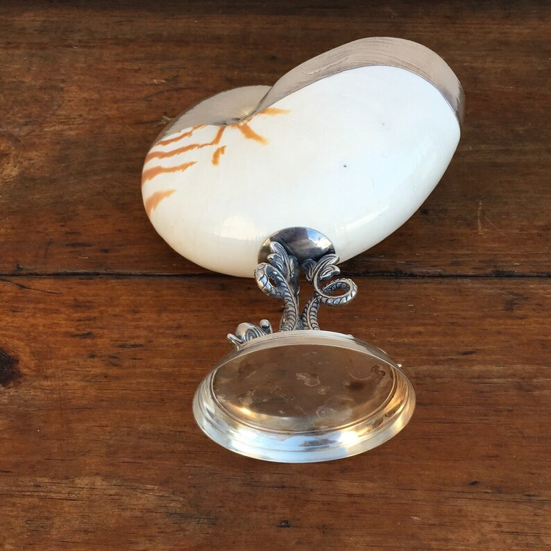 20th C. Italian Silver Mounted Tiger Nautilus Shell on Three Dolphin ...
