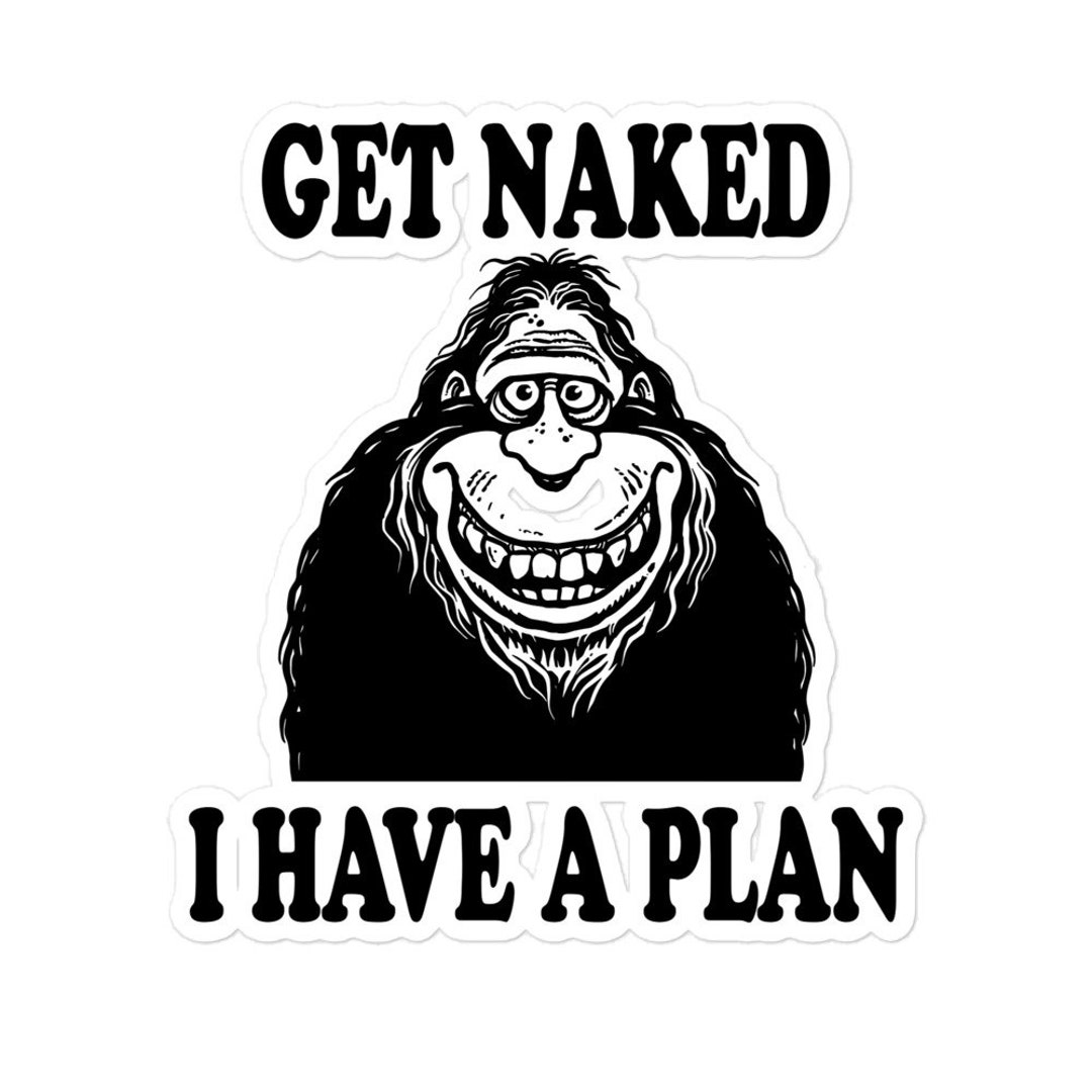 Get Naked I Have a Plan Sticker - Etsy