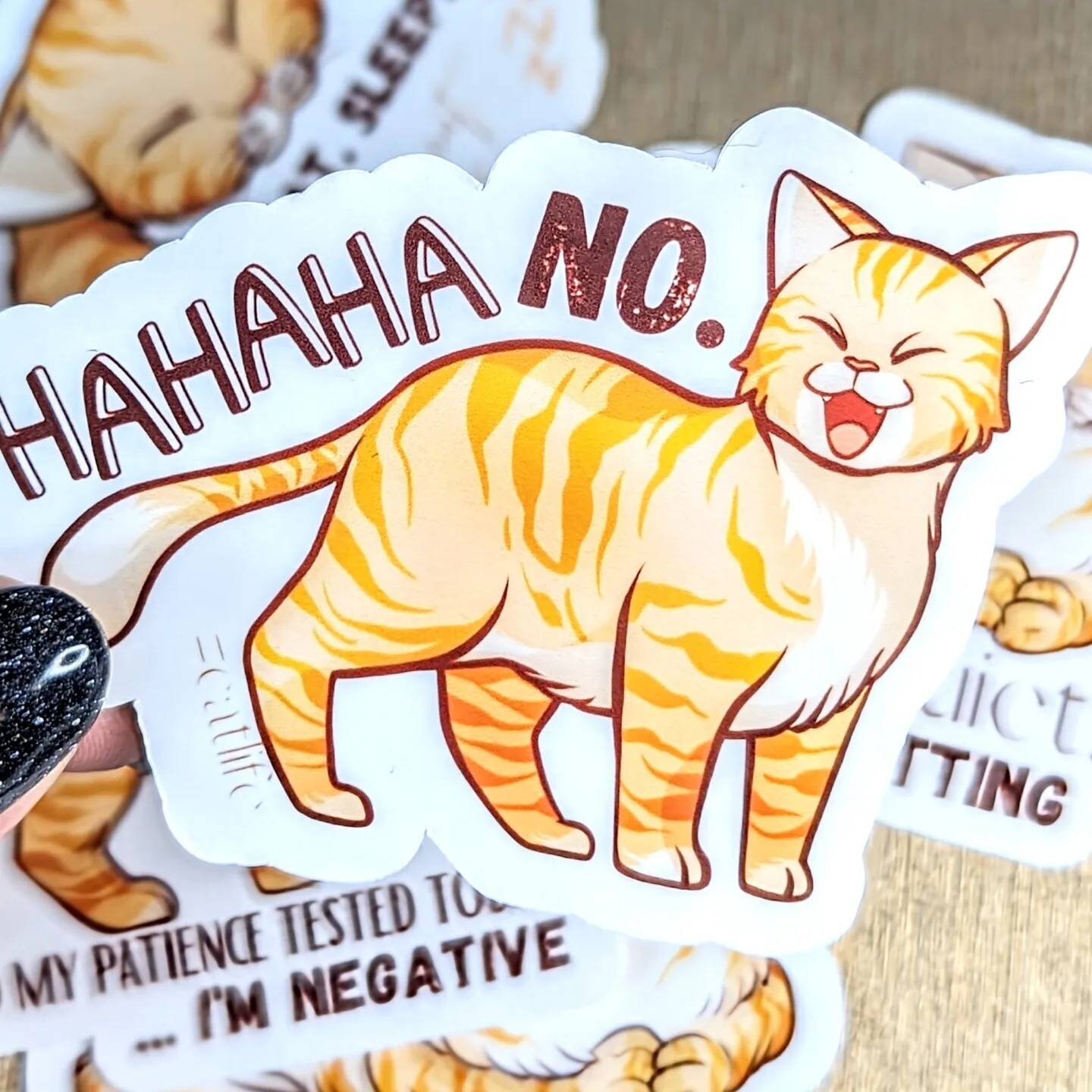 Hahaha No Cat