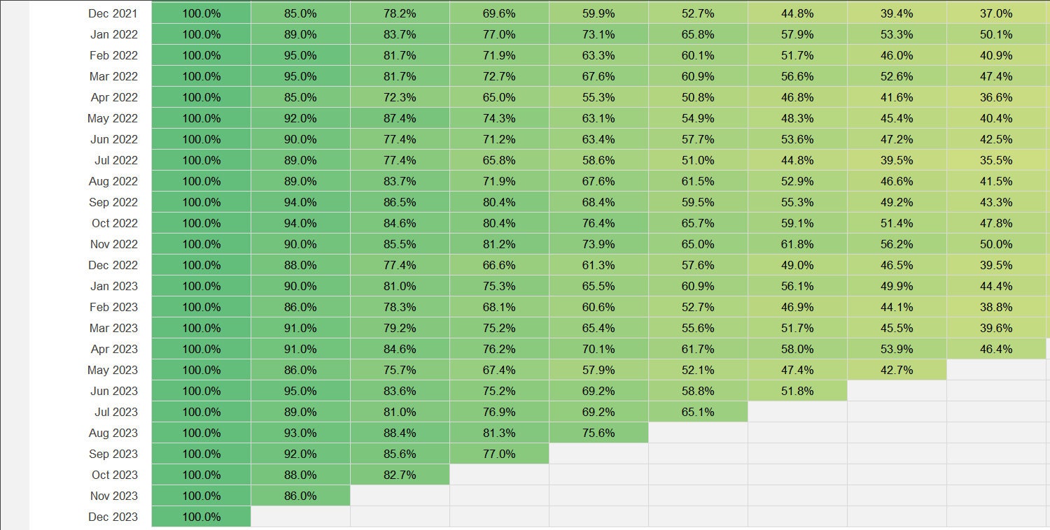 Customer Cohort Analysis Excel Template - Etsy