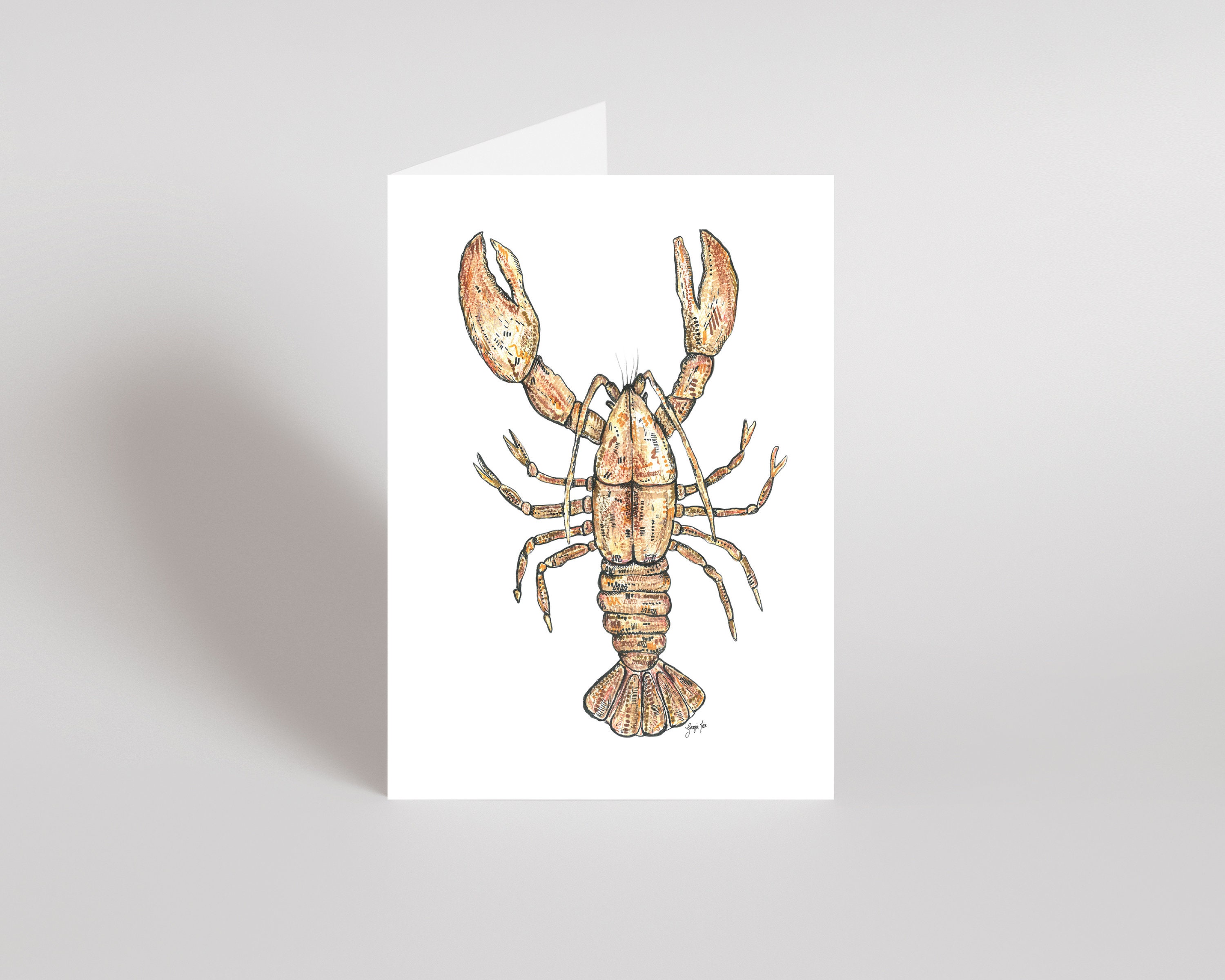 Single Illustrated Lobster Card for All Occasions, Lobster Cards ...