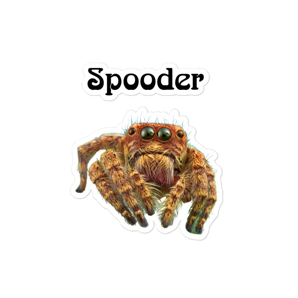Jumping Spider Stickers, Spooder Sticker, Spider Stickers, Regal ...