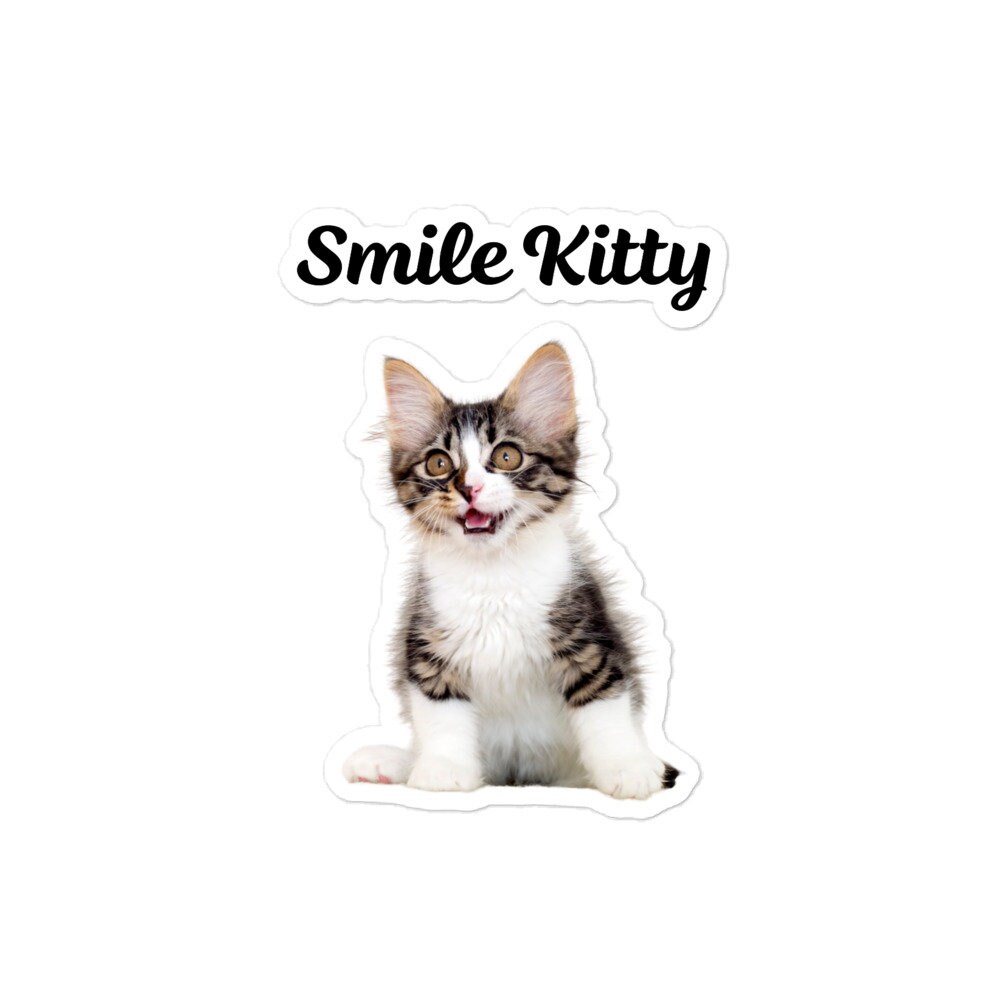 Kitten Sticker, Funny Stickers, Animal Sticker, Laptop Sticker, Bumper ...